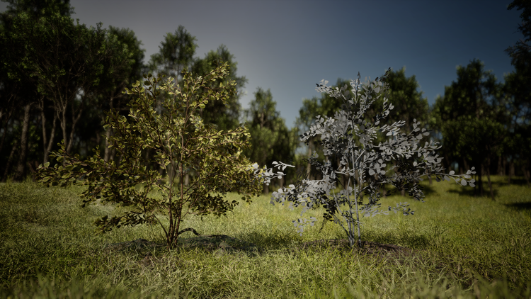 Alpha Cards to Opaque Geometry for UE5 Nanite Performance - Quentin ...